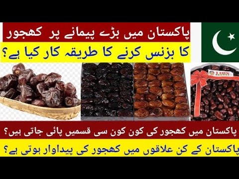How we can do Dates Trading Business on Big Scale in Pakistan. Types of ...