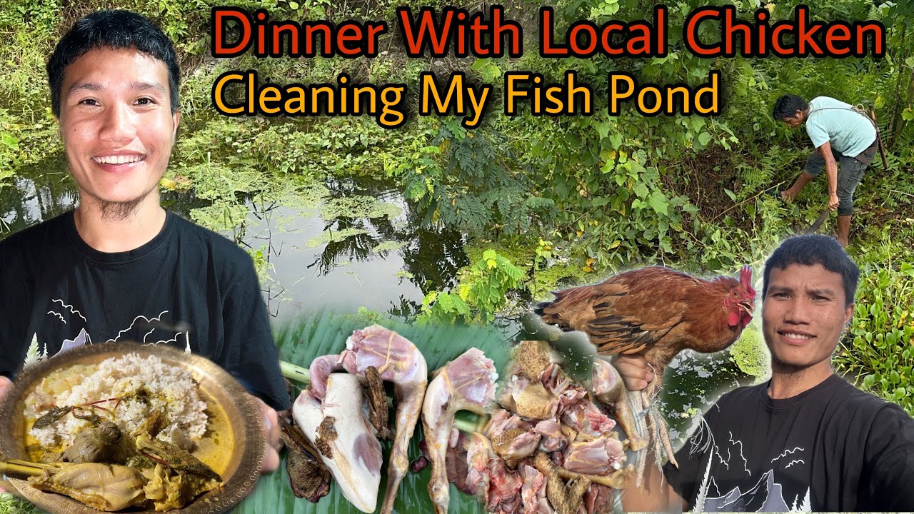 Cleaning Our Fish Pond ||Cooking and Eating Local Chicken With Roselle ...