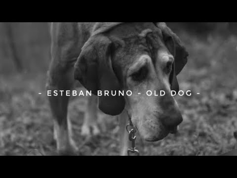 Esteban Bruno - Old Dog (Official Video) - YouTube