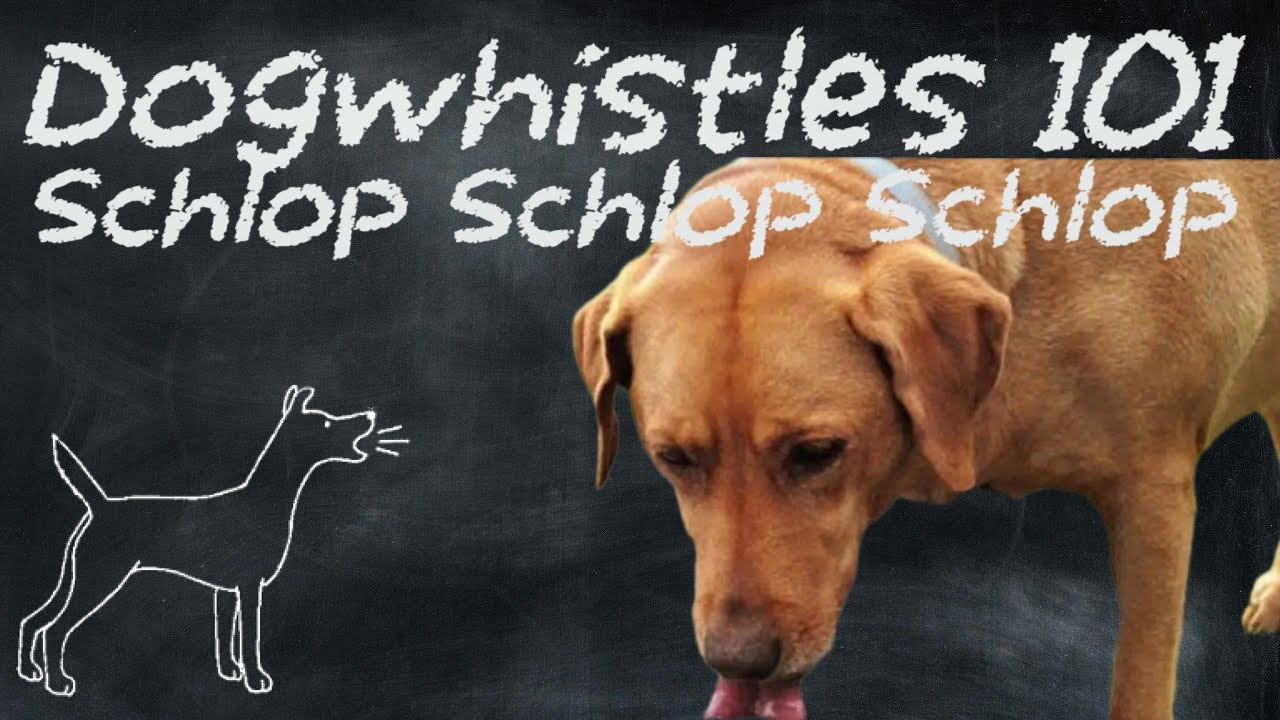 Dogwhistles 101: "Schlop Schlop Schlop" - YouTube