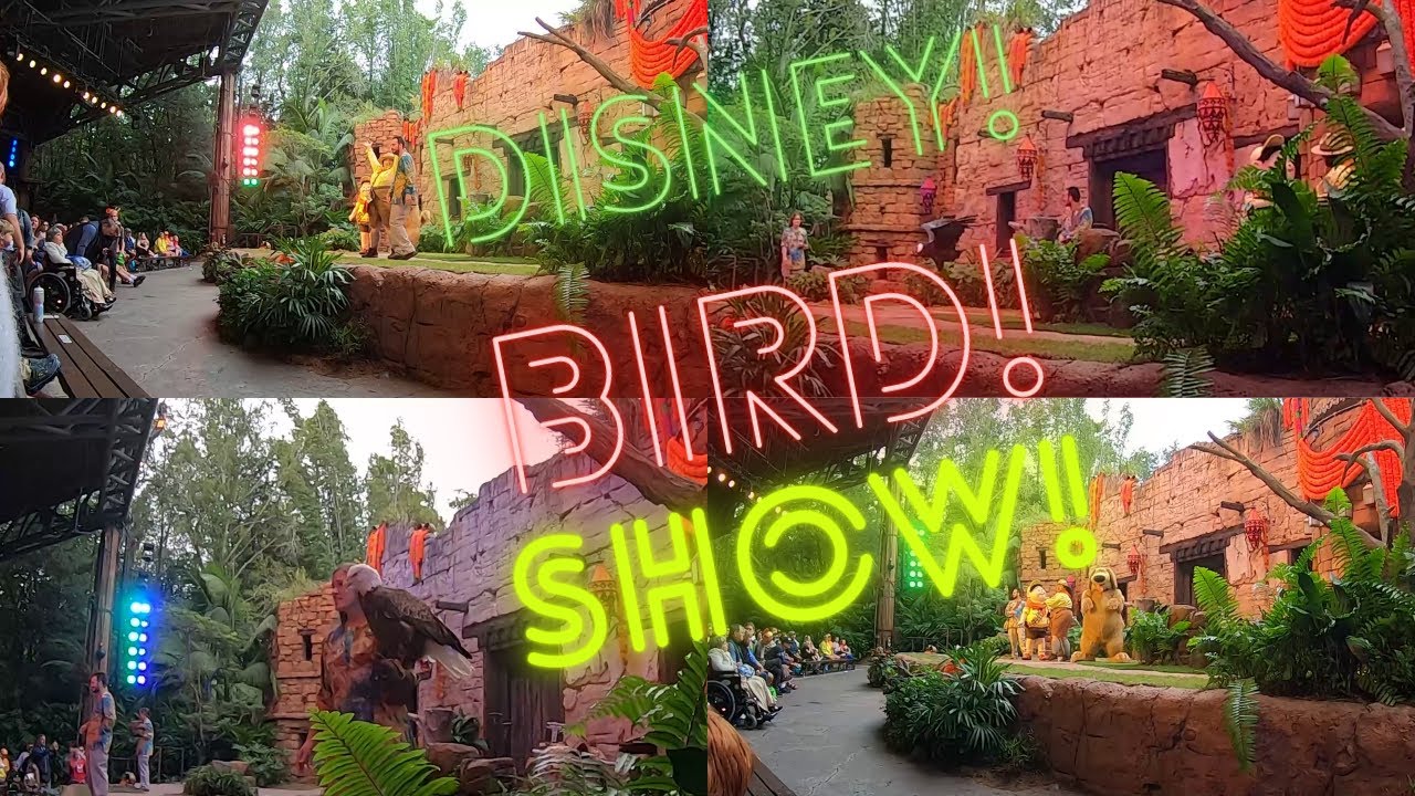 UP! A Great Bird Adventure at Disney Animal Kingdom - YouTube
