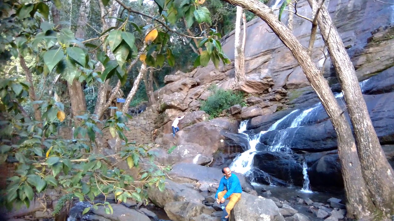 Enjoyment at Yercaud Killiyur waterfalls Place to see Travelogue by MC ...