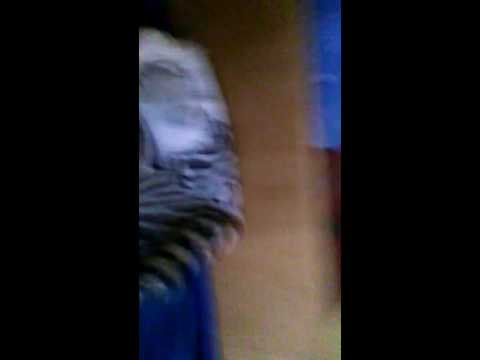 Papusile mele (partea 1)