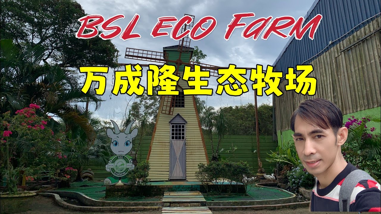 BSL Eco Farm 万成隆生态牧场, 亲子游体验牧场的好去处。(Ayer Hitam, Johor 2023) - YouTube