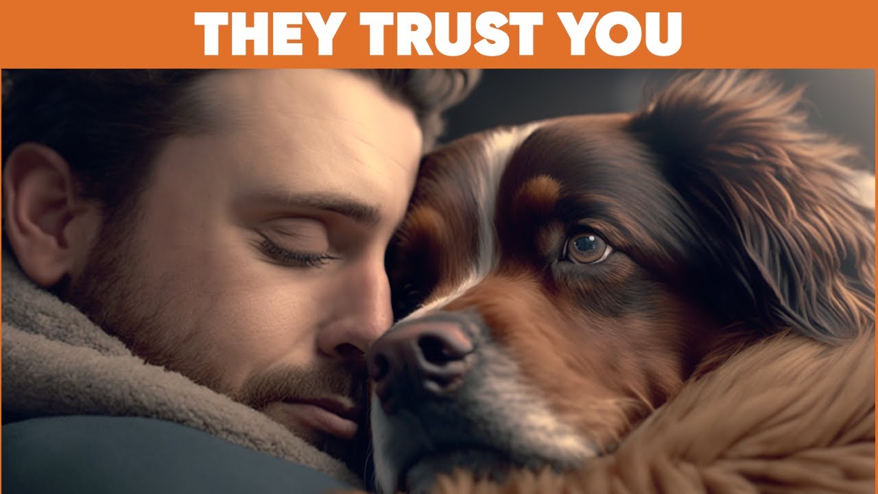 10 Heartwarming Signs Your Dog TRUSTS You Completely - YouTube