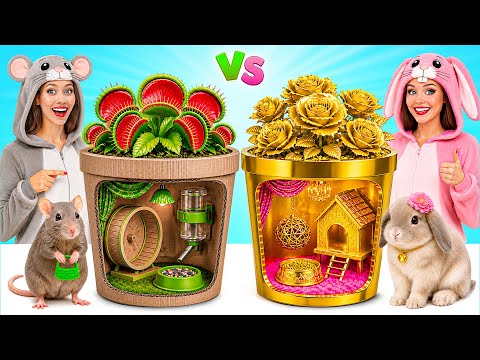 Wir Bauen ein Kleines Haus für Haustiere | Mini Bau Ideen von Multi DO Smile