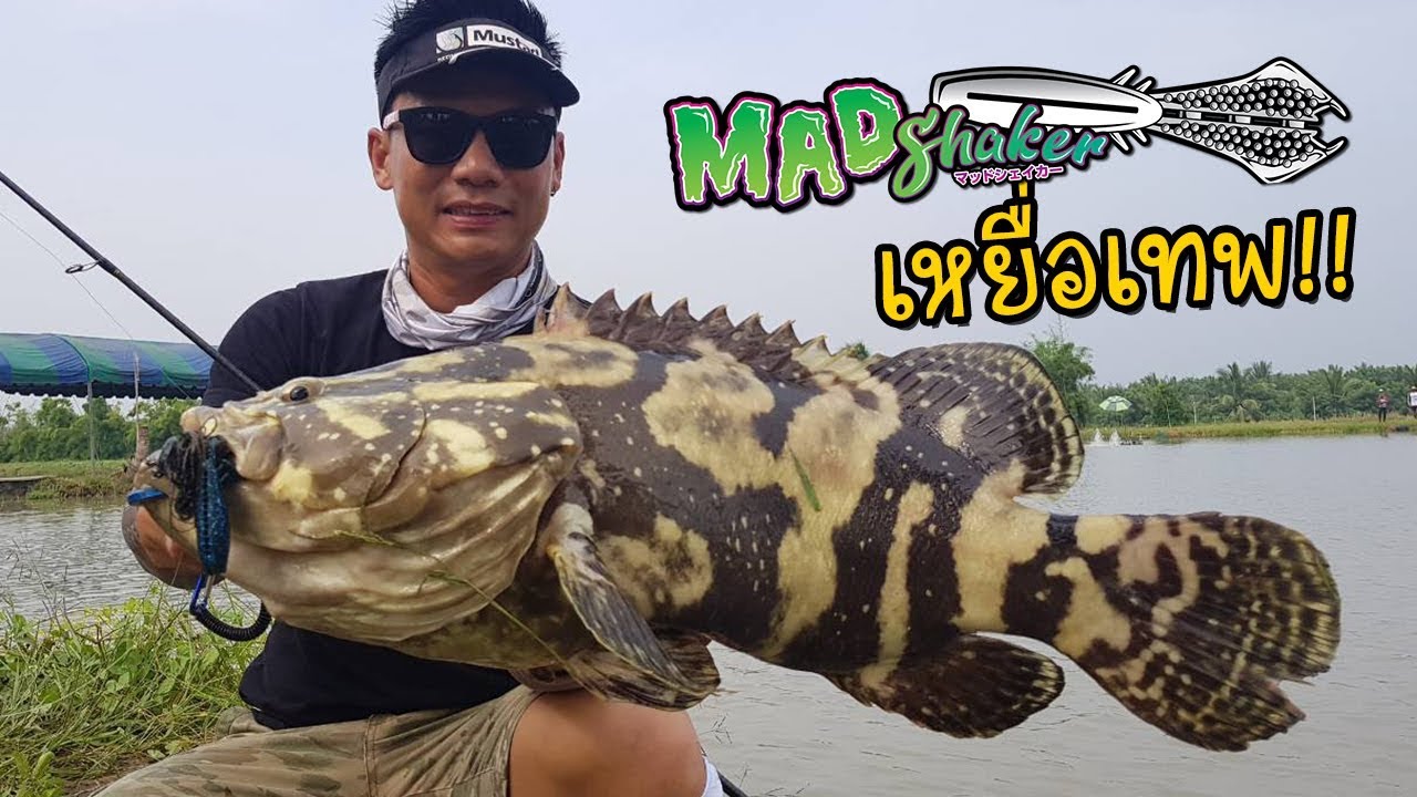 #เก๋าบุฟเฟ่ Vol. 4 เหยื่อเทพหมอ เทพเก๋า #Madshaker #Lobstero - YouTube