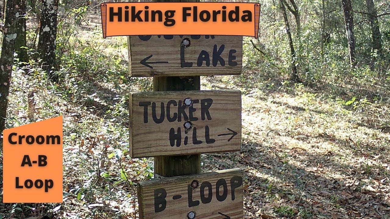 Hiking Florida Croom A-B Loop Withlacoochee State Forest (2021) - YouTube