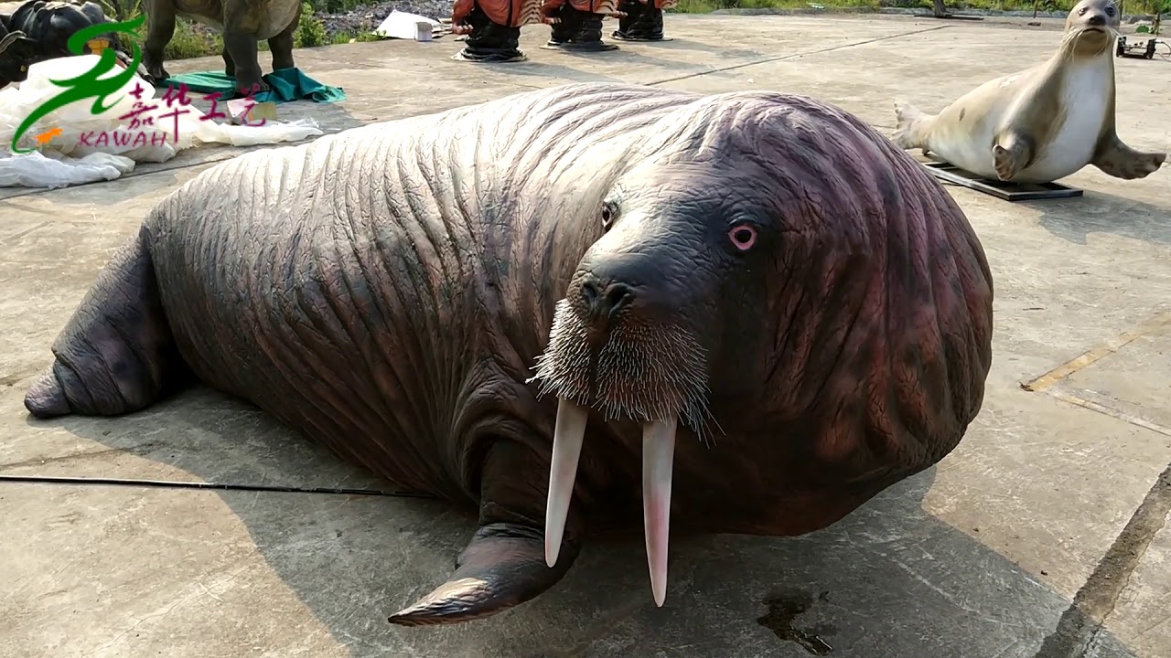 animatronic ocean sea zoo animal - YouTube