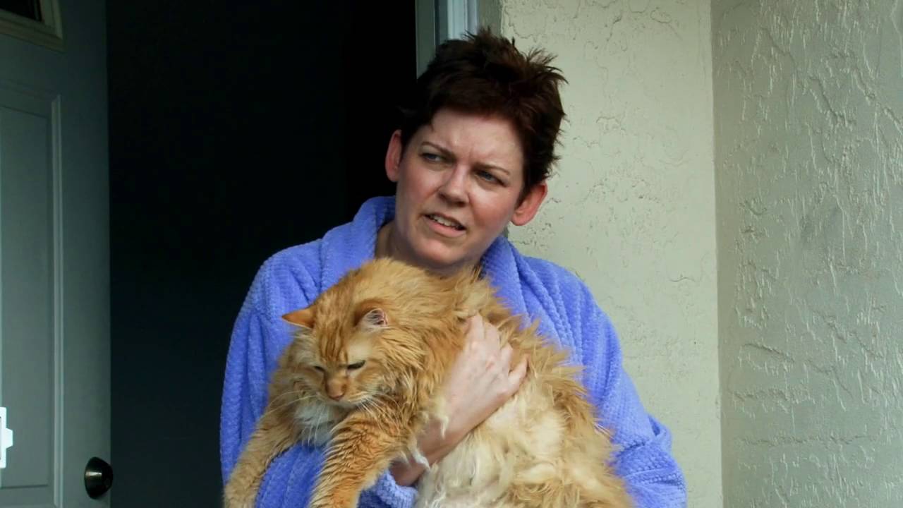 "Catnapped" (Comedy Short Film) Starring [Tony Ross, Djuan Ballinger ...