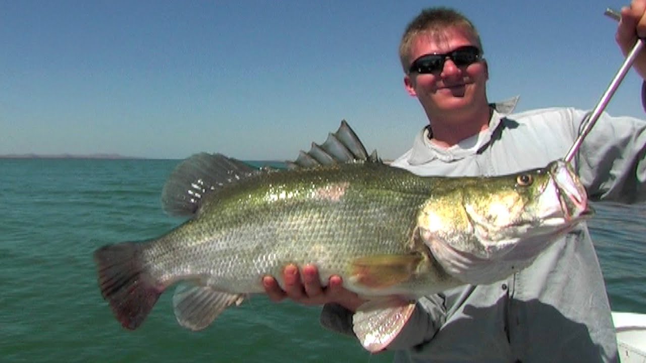 Pecanje nilskog grgeča u Egiptu na jezeru Naser II deo | Fishing Nile ...
