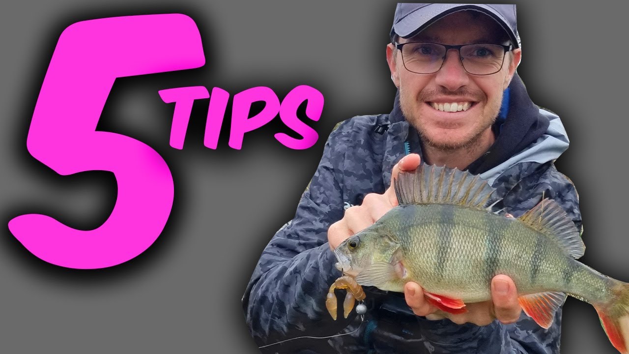 5 Tips To Catch MORE Perch! - YouTube