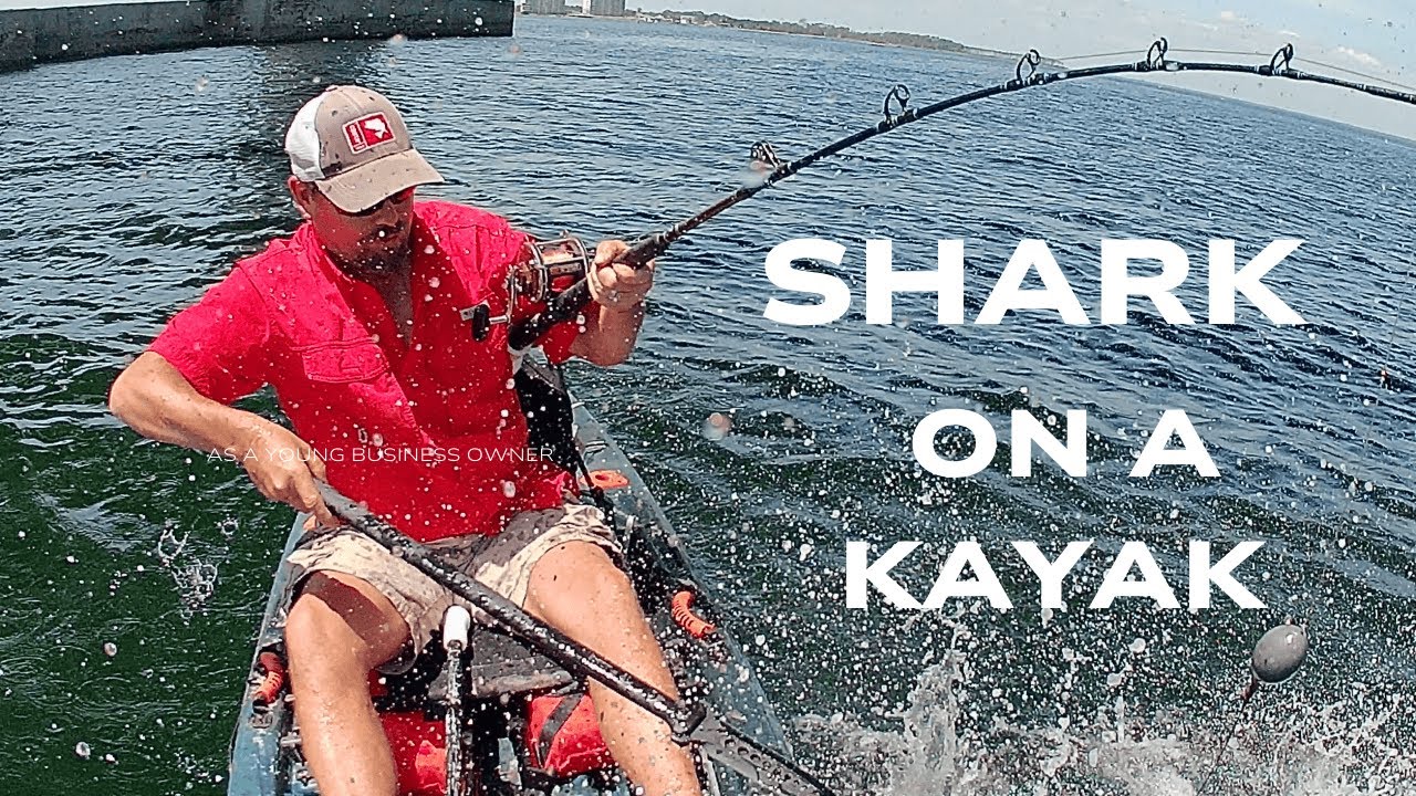 Shark fishing on my Kayak - YouTube