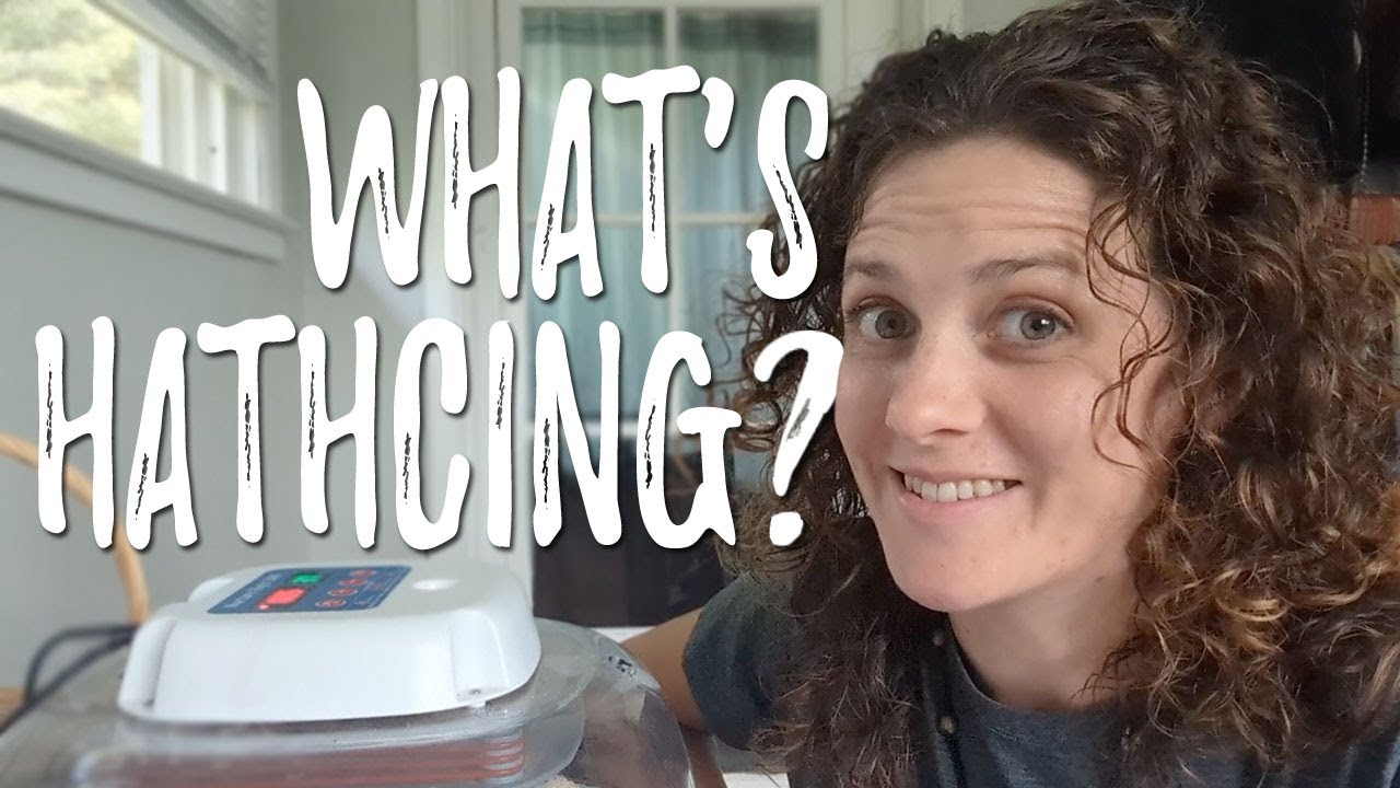 Hannah Feder's Instagram, Twitter & Facebook on IDCrawl