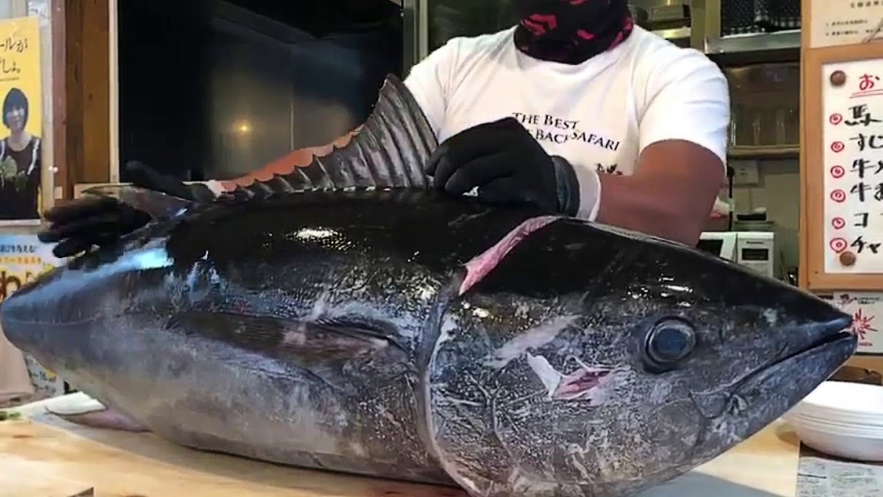 HUGE TUNA JAPANESE CUTTING SHOW | Tuna Dismantling - YouTube