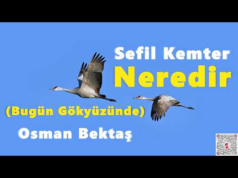 Neredir (Sefil Kemter)