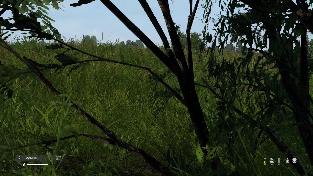 DayZ vue du coin de l'oeil - YouTube