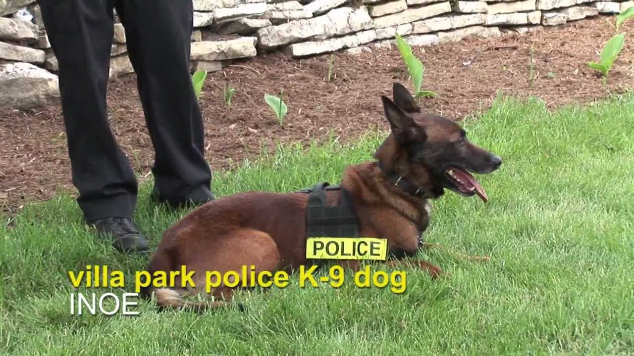 Summerfest 2011 - K-9 Unit Demonstration - YouTube