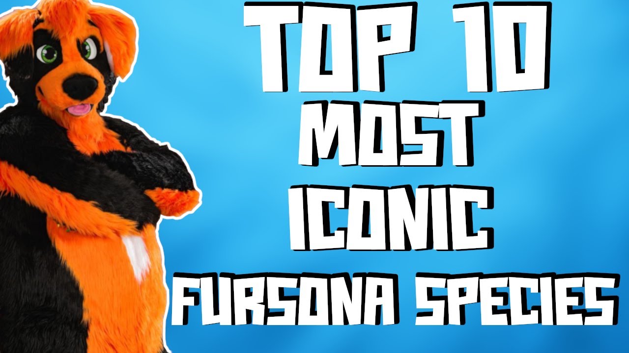 TOP 10 MOST ICONIC FURSONA SPECIES - YouTube