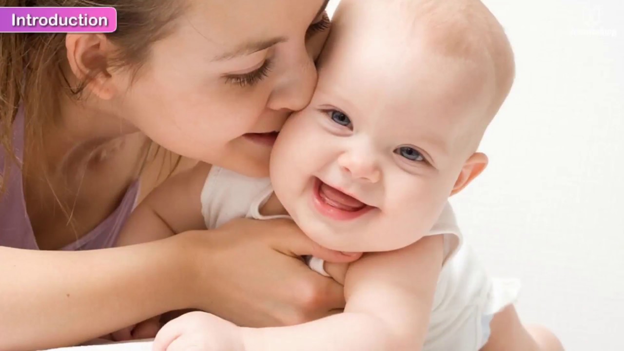 Reproduction In Animals | Science For Grade 5 Kids | Periwinkle - YouTube