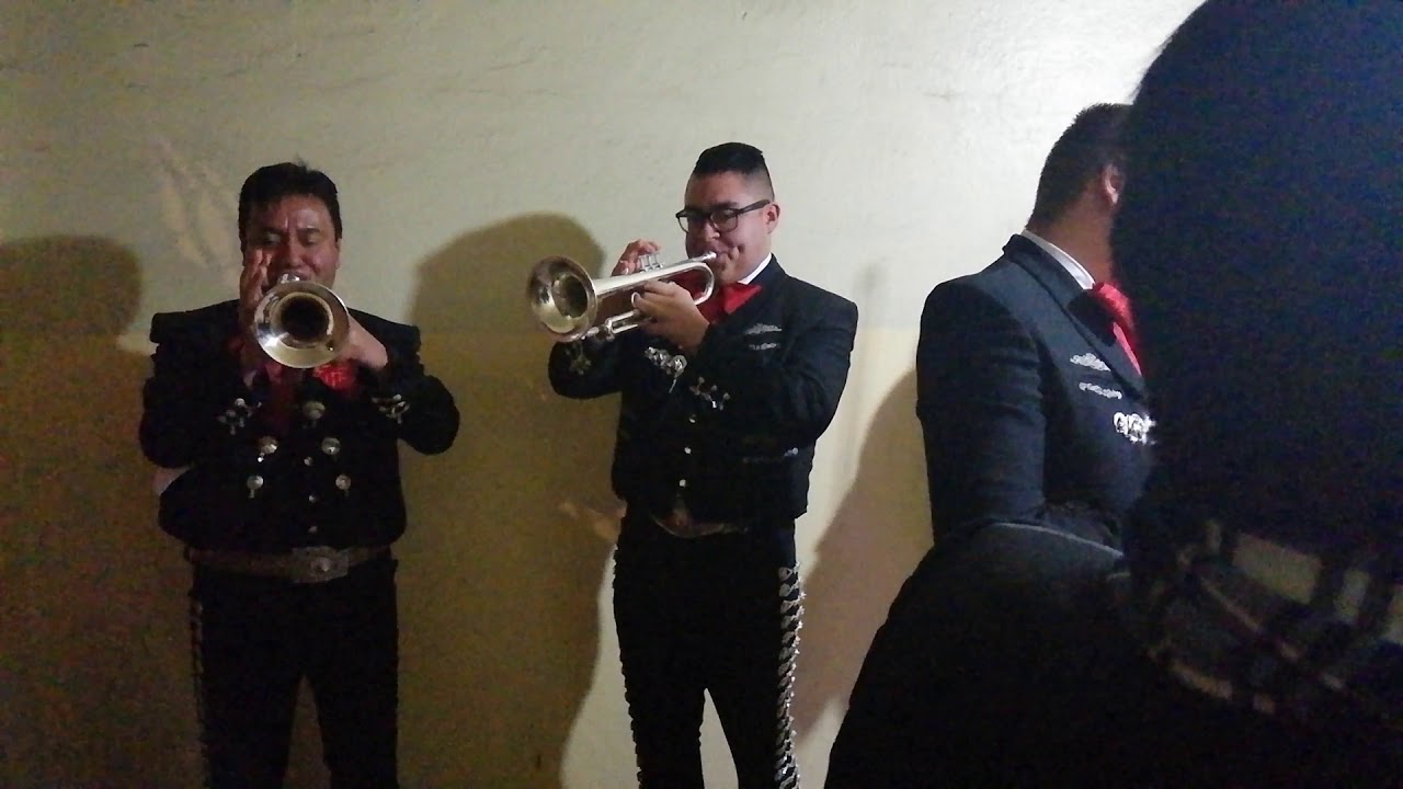 El son de la culebra mariachi michoacano de Pablo Godinez - YouTube