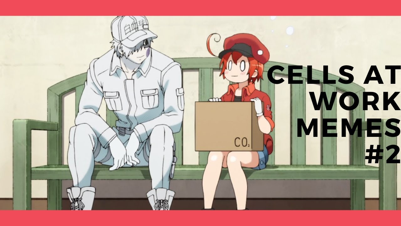 Cells at Work Memes #2 | Hataraku Saibou Memes | はたらく細胞 Memes - YouTube