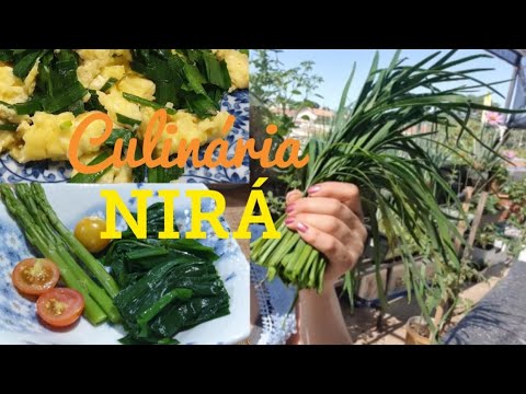 Como preparar o NIRÁ - Culinária Japonesa (3 receitas deliciosas) - YouTube