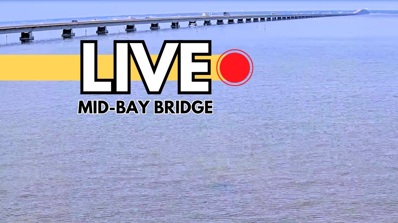 Lulu's Mid-Bay Bridge Cam - YouTube