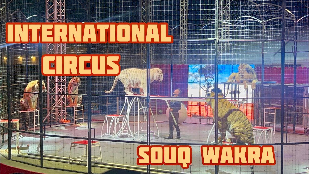 Amazing Circus || Souq Wakra || @anuslifestylepixel - YouTube