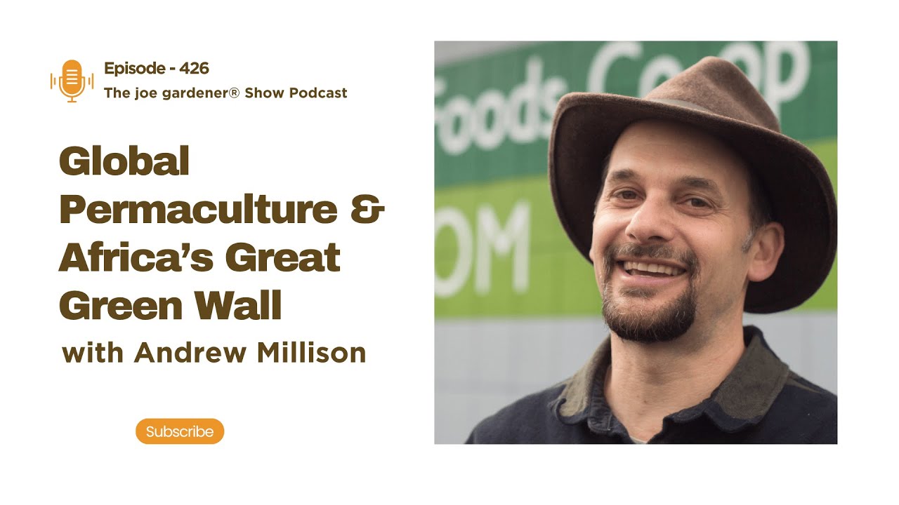 Global Permaculture & Africa’s Great Green Wall | with Andrew Millison ...