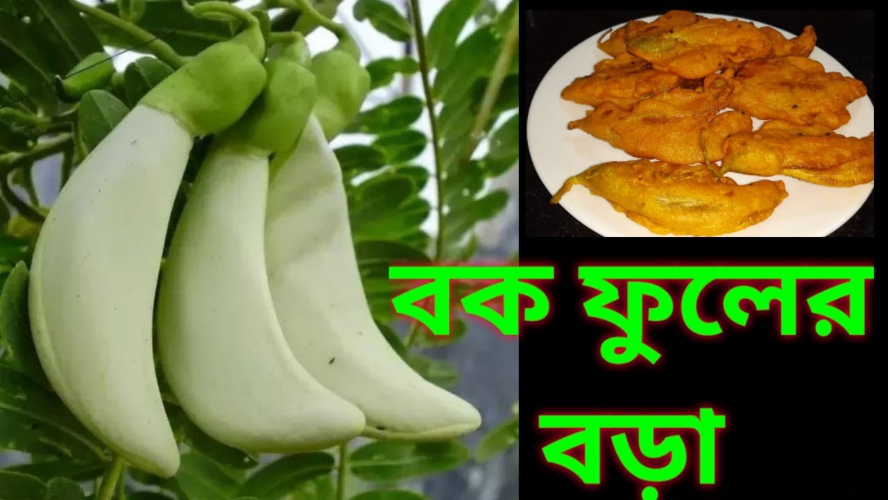বক ফুলের বড়া।Bok Fuler Bora।Bok Fuler Recipe ।Bok Fuler Borar Recipe ...