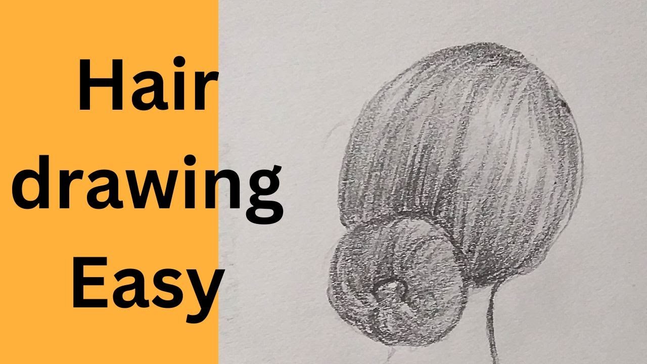 How to draw Hair easy for beginners/hair cbun drawing step by step ...