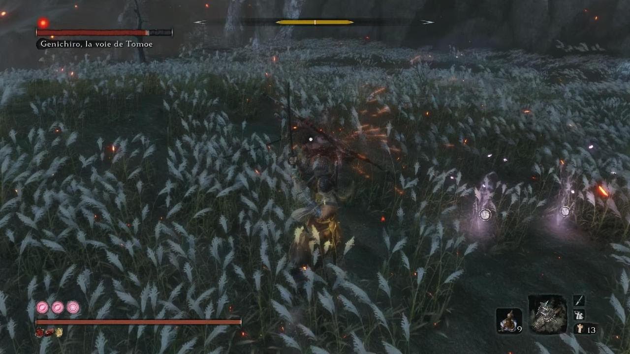 Sekiro: Shadows Die Twice Isshin Ashina sword saint NG+6 (No Kuro's ...