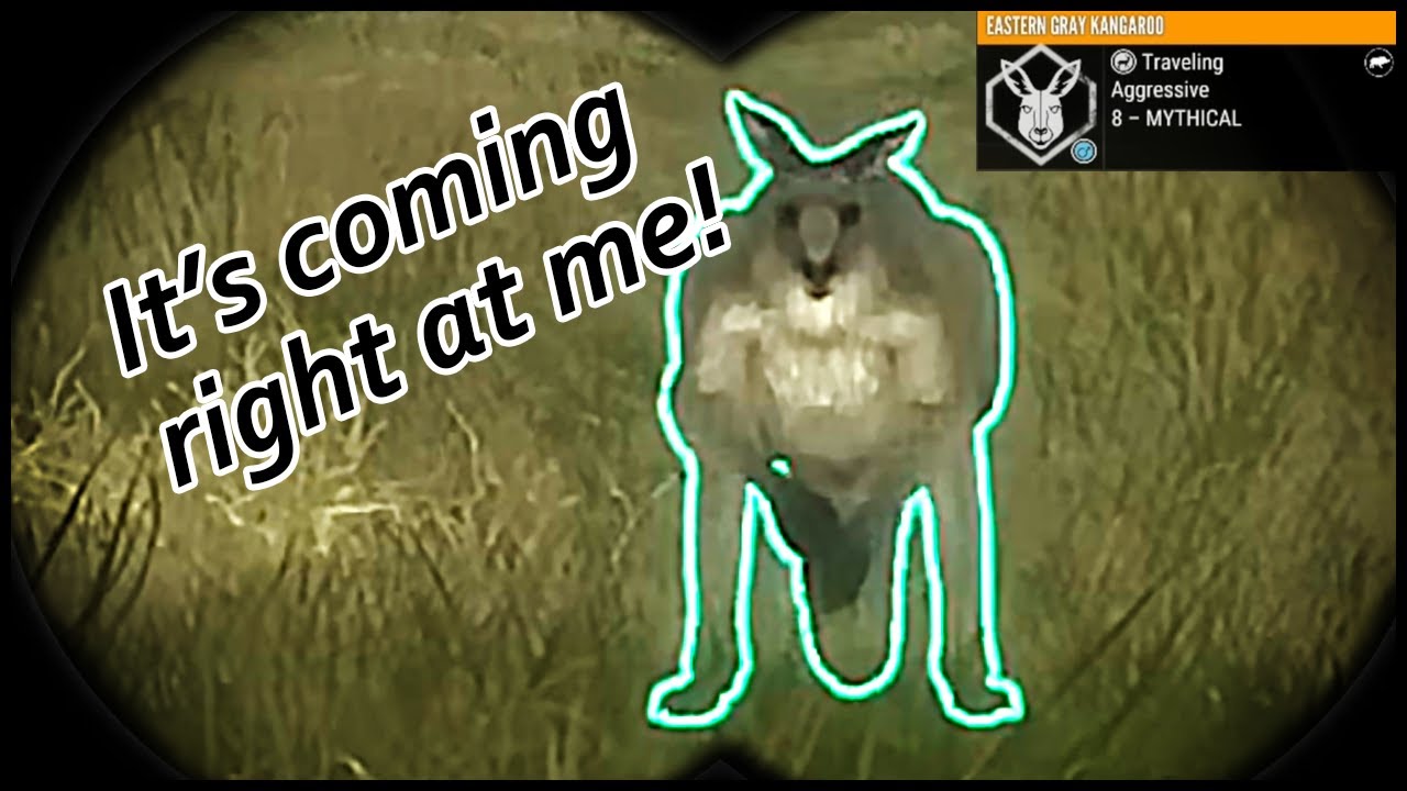 Emu War 2: Electric Kangaroo - theHunter Call of the Outback #ad - YouTube