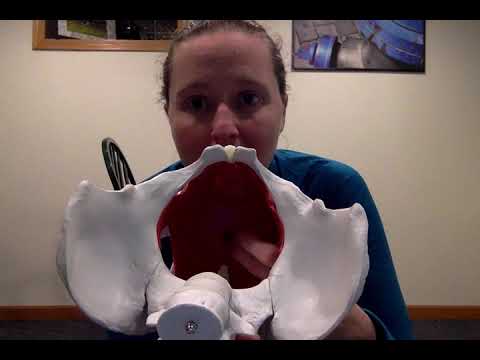 How to sit for easier pooping - YouTube