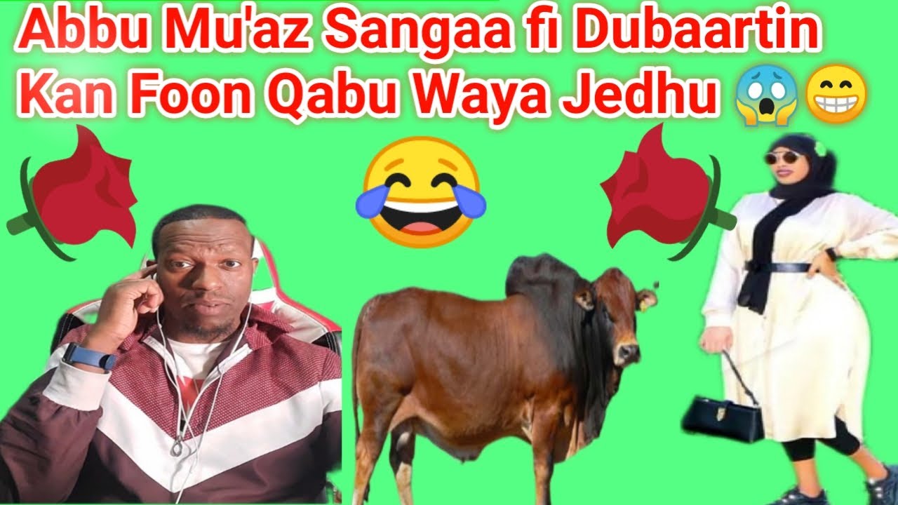 Abbu Mu'az Sangaa fi Dubaartin Kan Foon Qabu Waya Jedhu Isin Hoo Mal ...