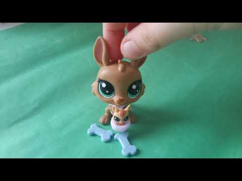 Minişler Bir Kanguru Minişin Hayatı 🐮🍭🍔