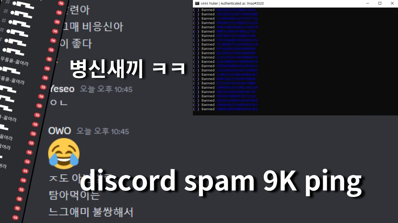 예서서버 테러 [discord spam 9K ping] - YouTube