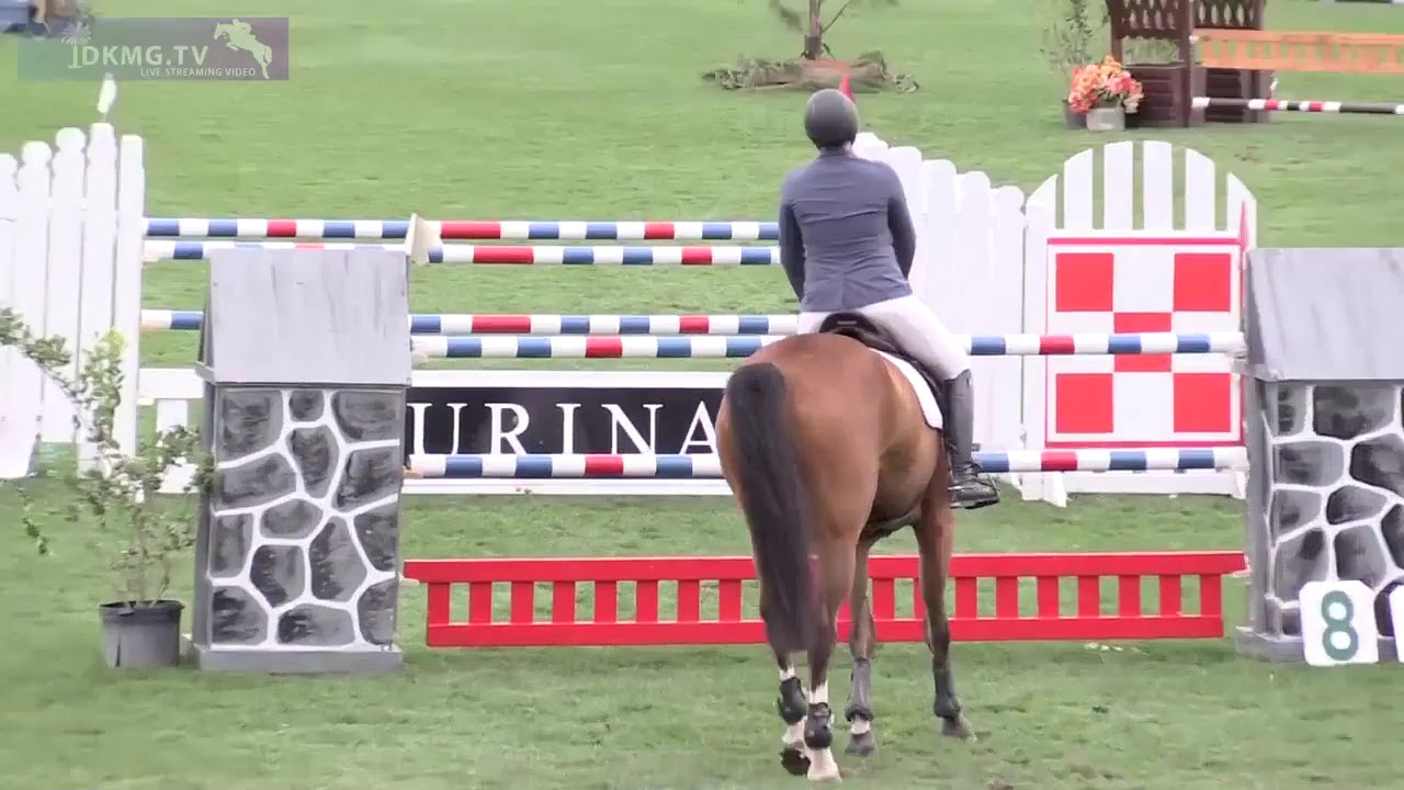 Happy Comly Horse Sports - YouTube