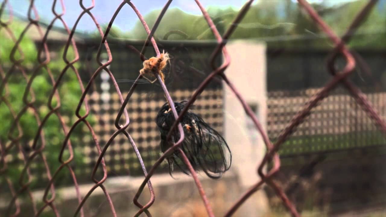 69 Demons - 5."Trashumante" - YouTube