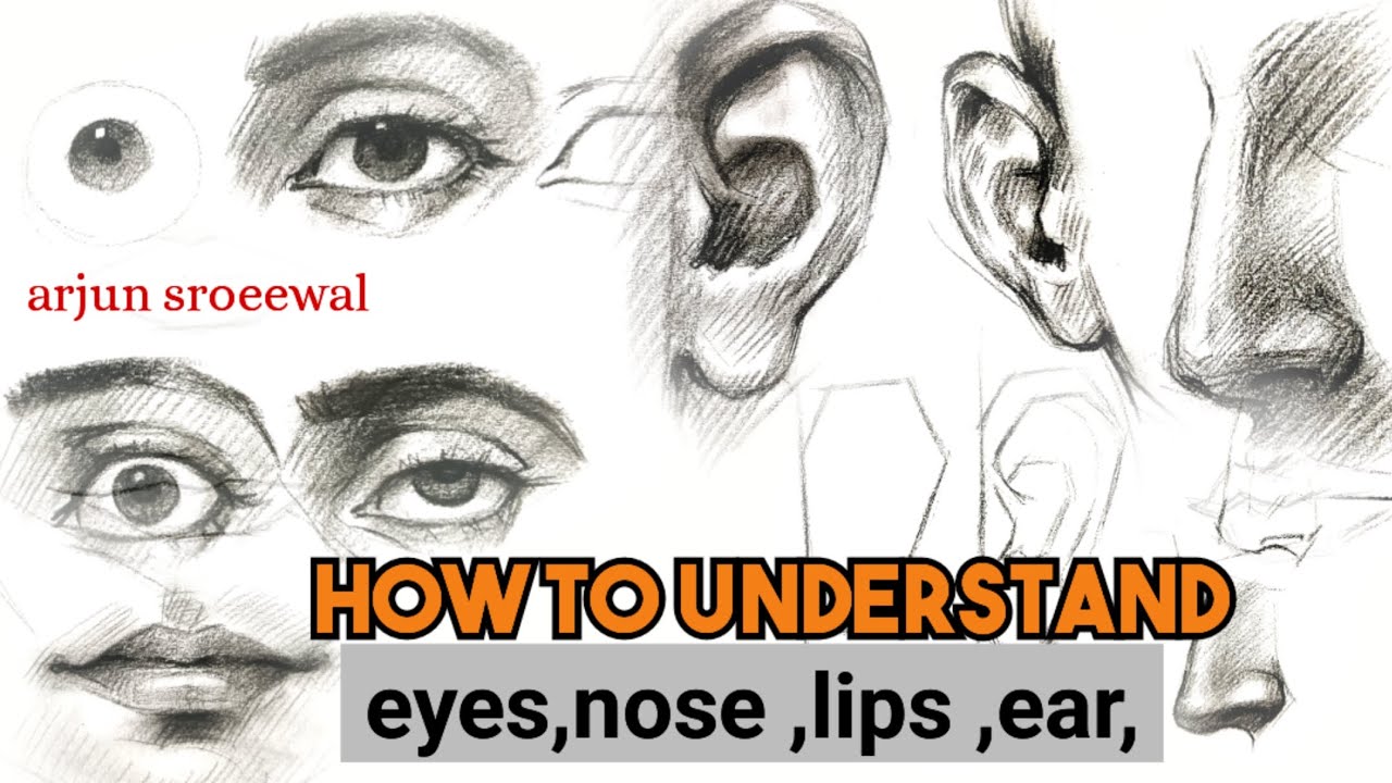 How to understand eyes, nose, lips, ear, || How to draw #eyes #nose # ...