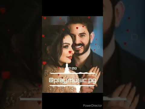 Whatsapp status seir