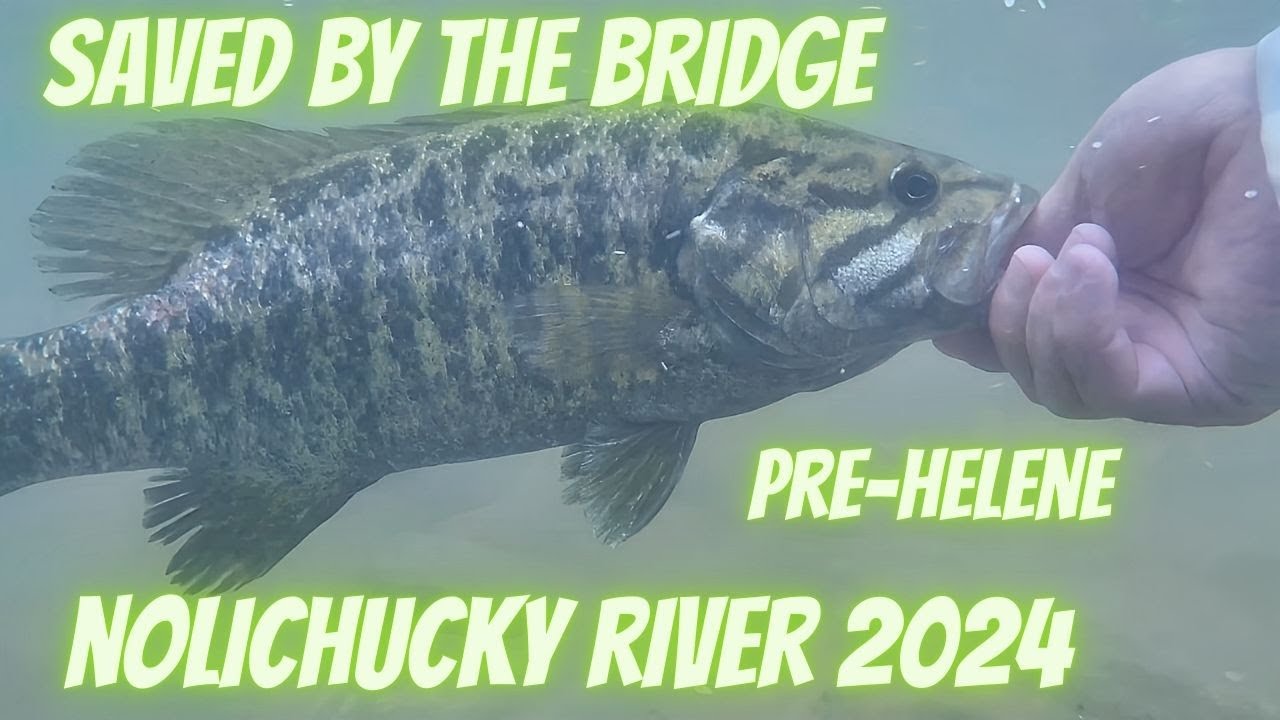 Saved by the Bridge | Nolichucky River 2024 | Pre-Helene - YouTube