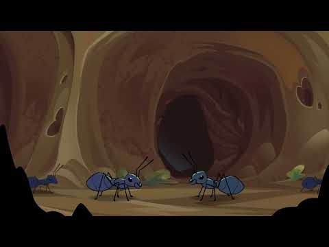 Bazı Karıncalar - Ve O Karıncalanma Hisleri