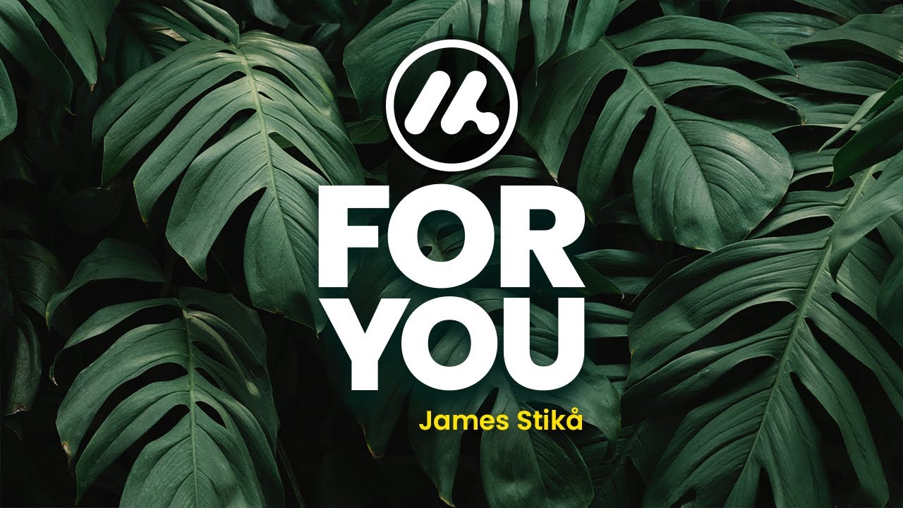 James Stikå - For You - YouTube
