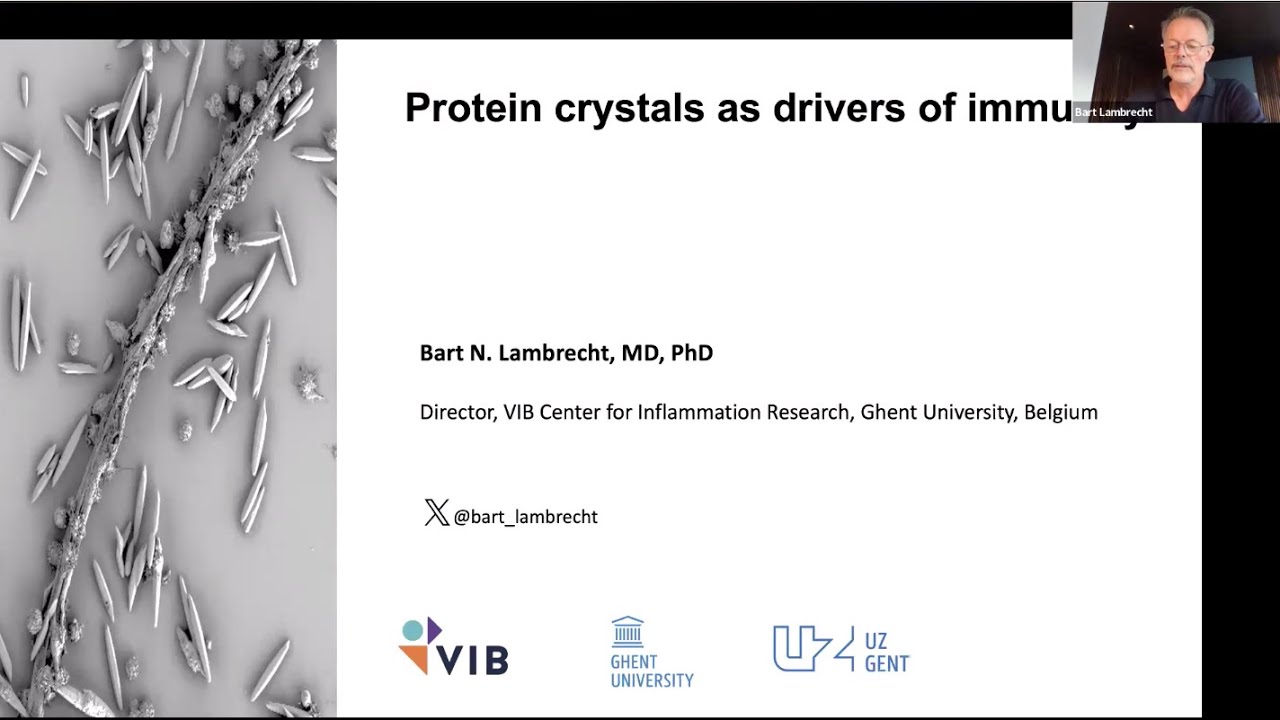 "Protein crystals as drivers of immunity" by Dr. Bart Lambrecht - YouTube