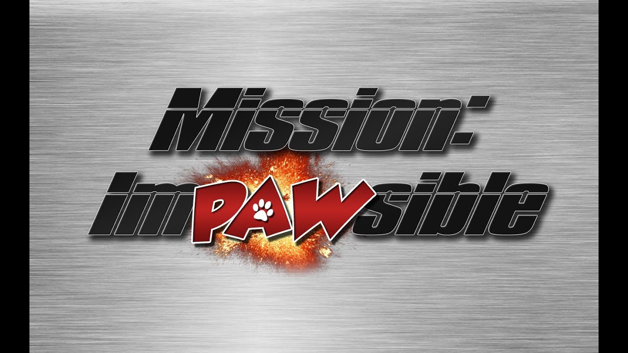 Prodigy Escapes Presents Mission Impawsible - Exeter Escape Room - YouTube