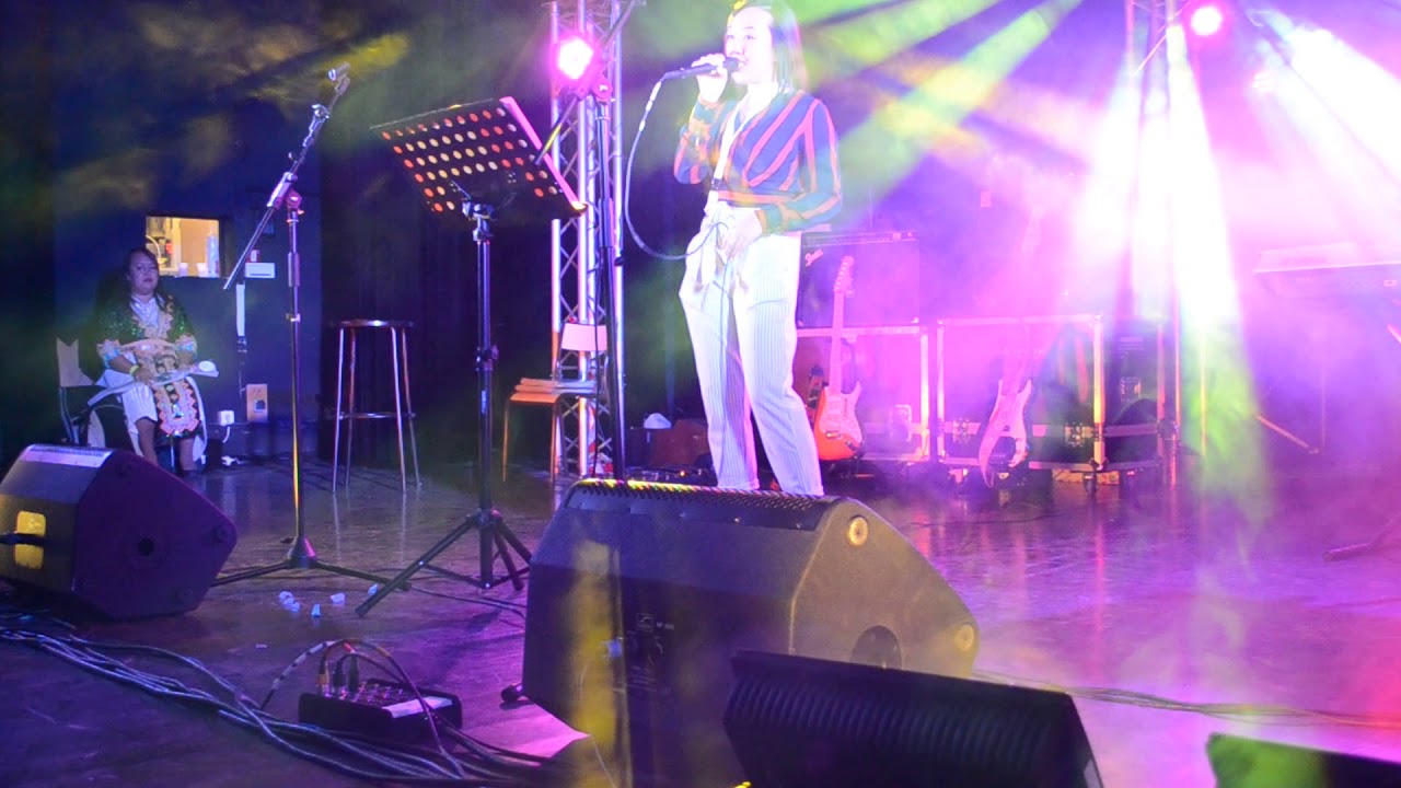 jessie VANG carrée soirée villepinte 2018 - YouTube