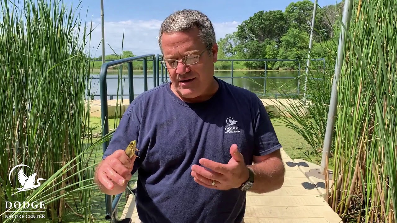 Nature Safety - YouTube