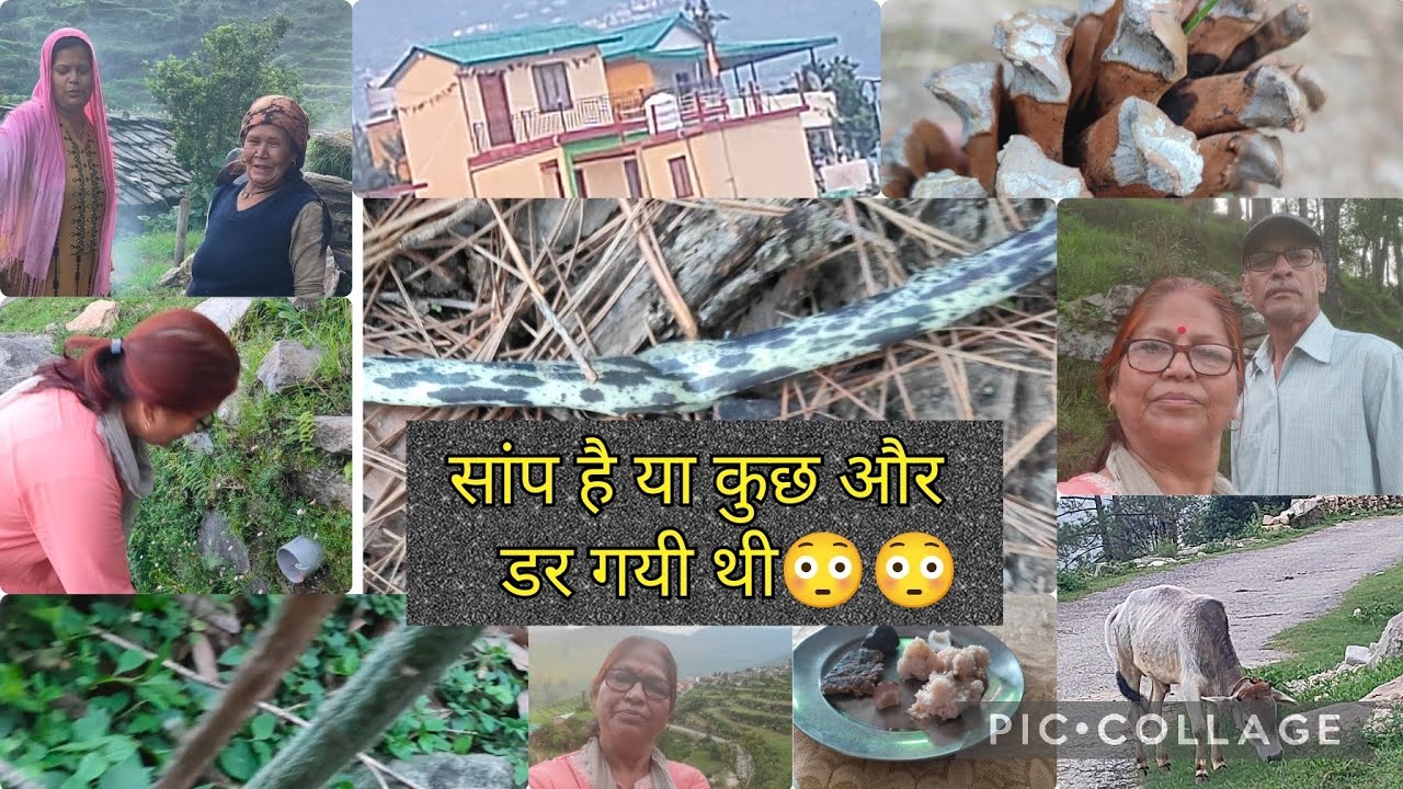 ||Aaj ek new rasta b dekha🤗||daily vlogs ️||@durgabisht3192 ||please ...